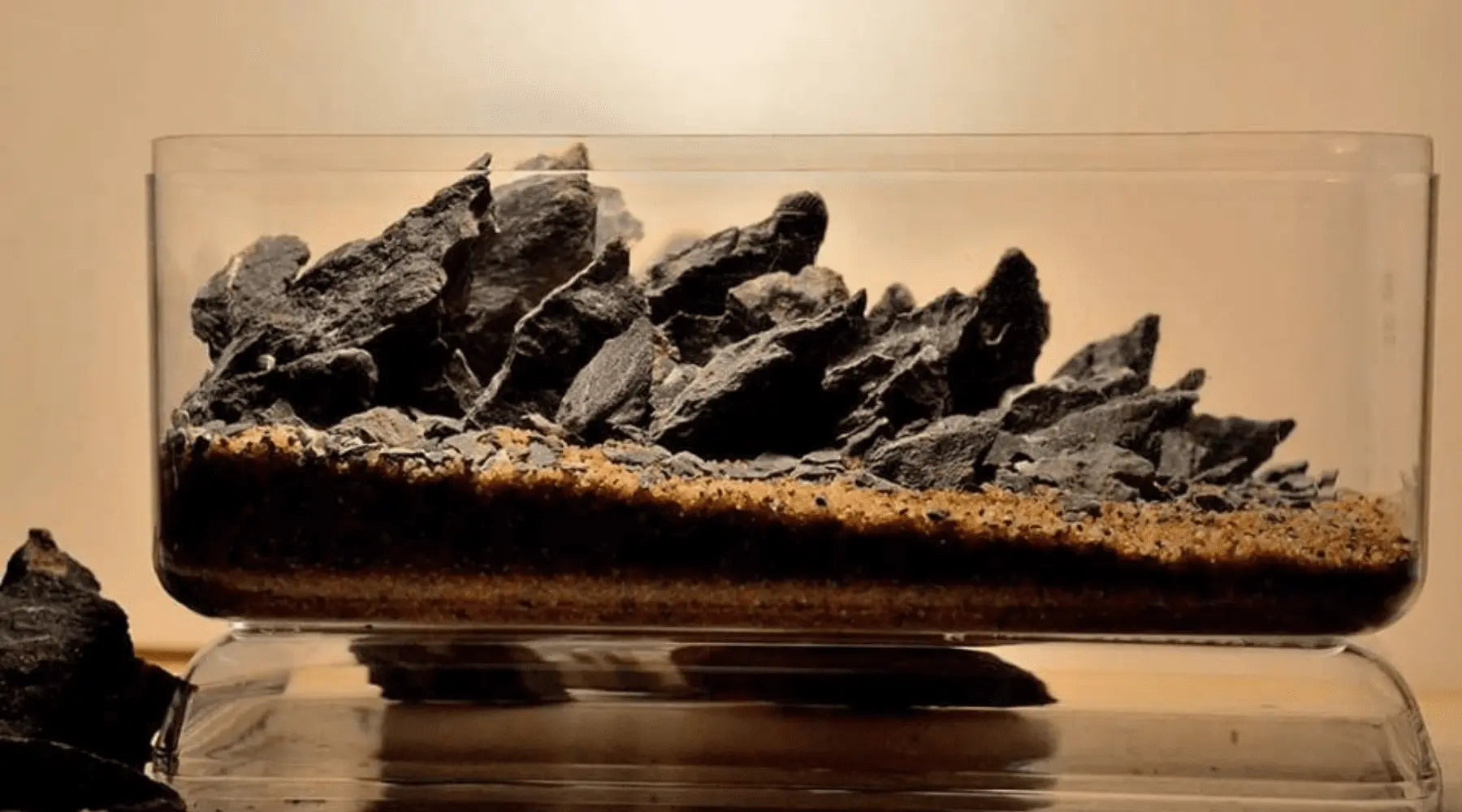 Amazing Hardscape by Petruc Dan Iulian - Aquascape Gallery – Micro ...