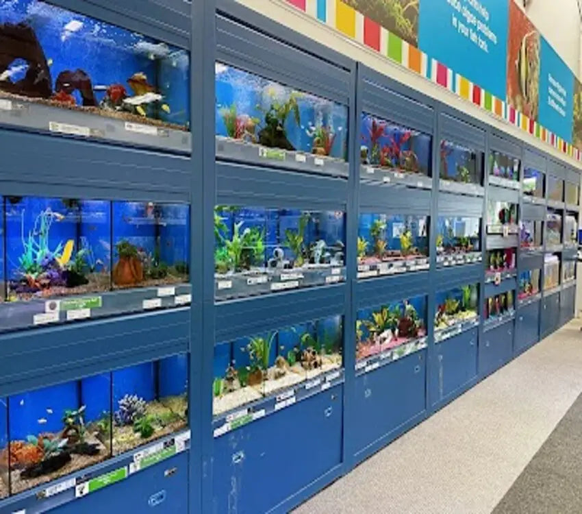 Own the "Ocean" with just one click – Micro Aquatic Shop