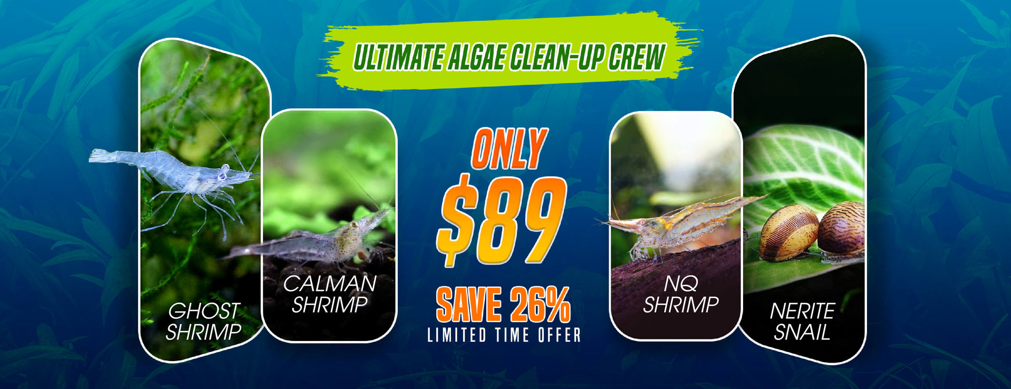 Aquarium Supplies Online Australia | Micro Aquatic Shop