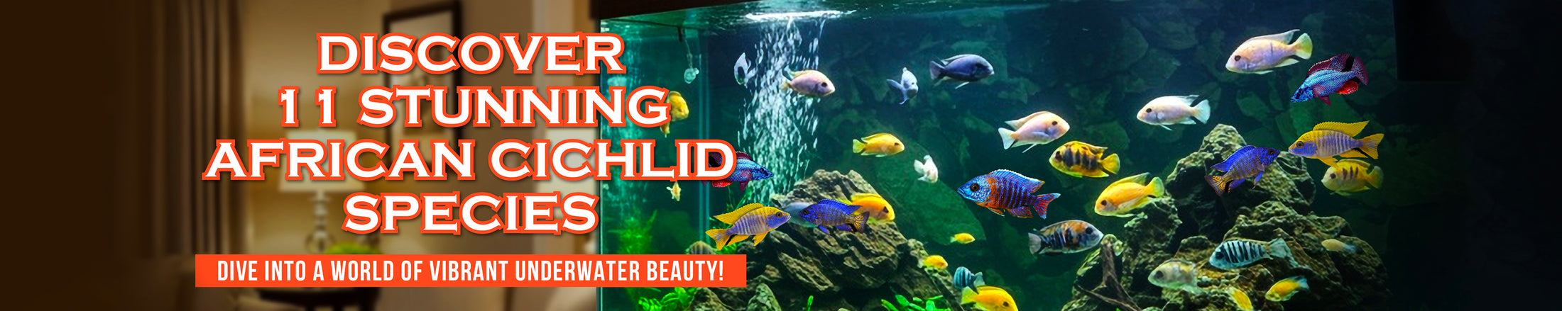 Aquarium Plants Collection - Enhance Your Aquascape - Micro Aquatic Shop