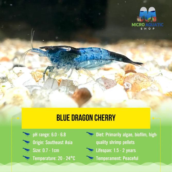 Products – Micro Aquatic Shop