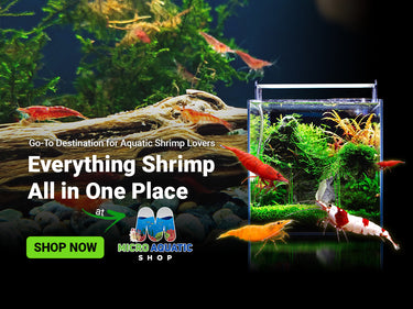 Aquarium Supplies Online Australia | Micro Aquatic Shop