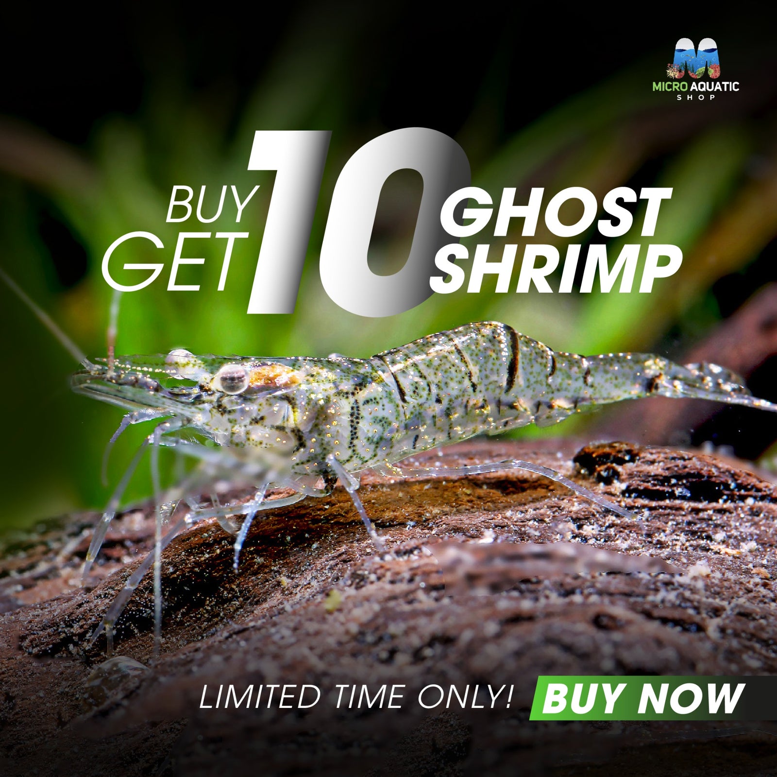 Aquarium Supplies Online Australia | Micro Aquatic Shop