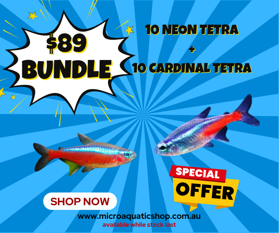 Products – Micro Aquatic Shop