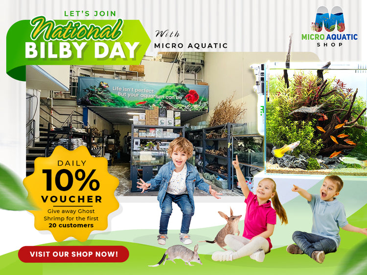 Aquarium Supplies Online Australia | Micro Aquatic Shop