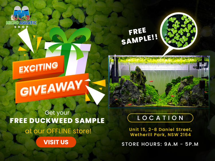 Aquarium Supplies Online Australia | Micro Aquatic Shop