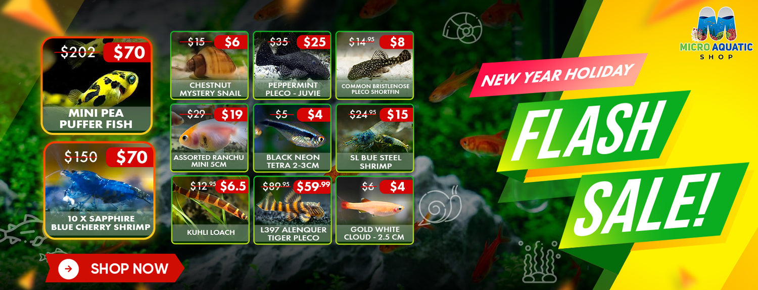 Aquarium Supplies Online Australia | Micro Aquatic Shop