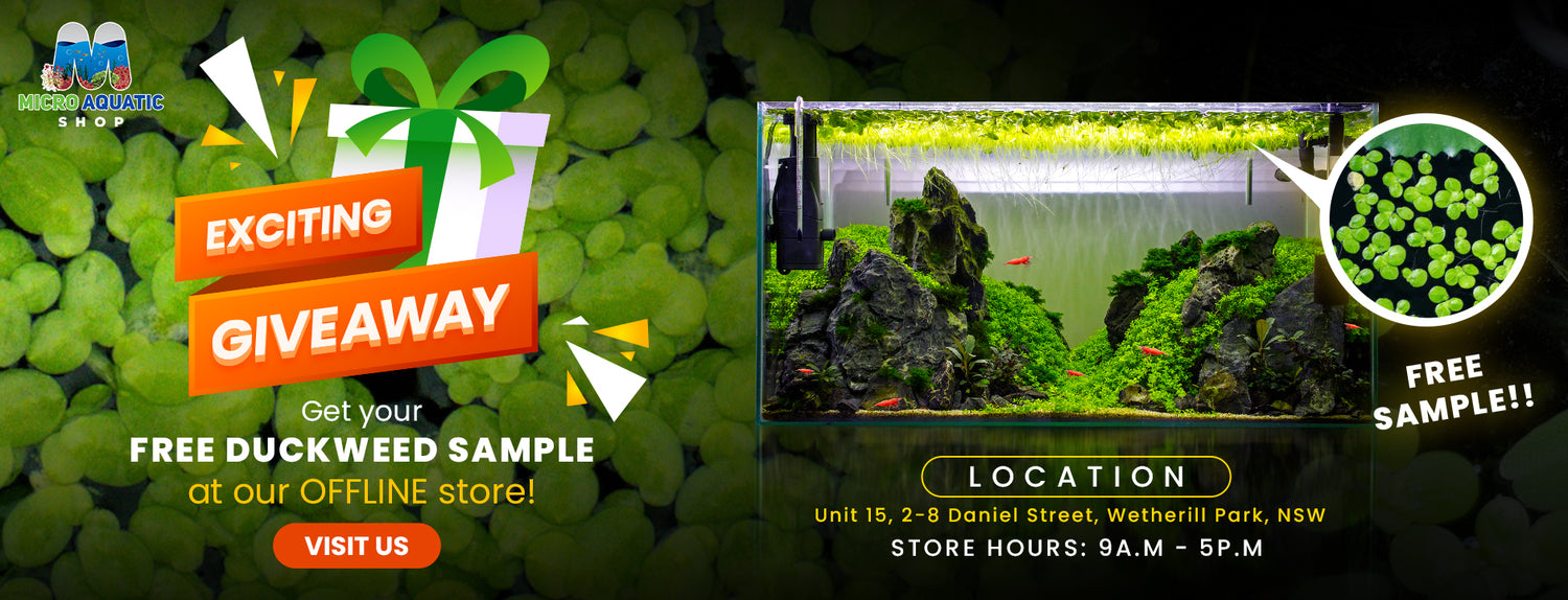 Aquarium Supplies Online Australia | Micro Aquatic Shop