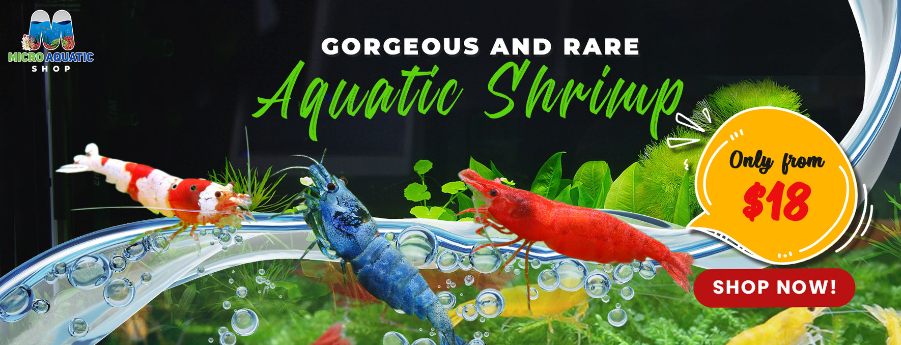 Aquarium Supplies Online Australia | Micro Aquatic Shop