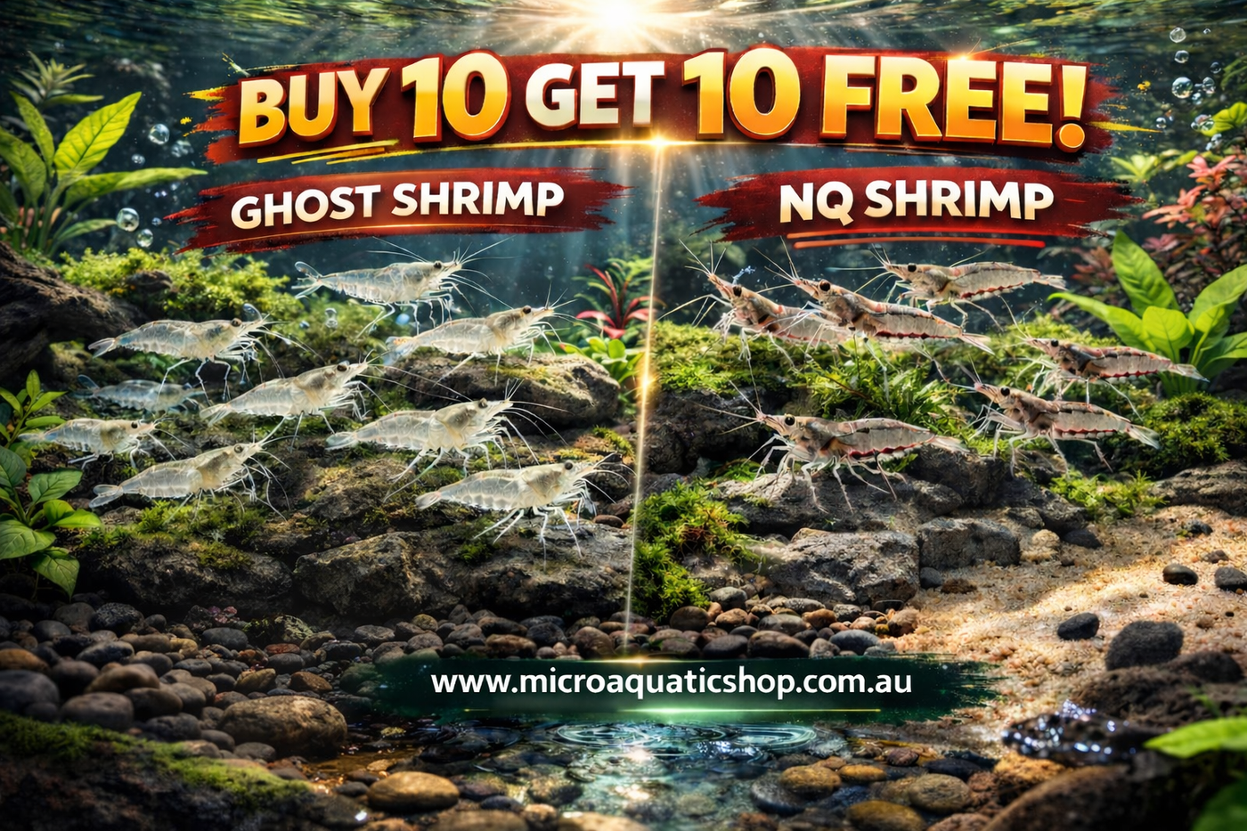 Aquarium Supplies Online Australia | Micro Aquatic Shop