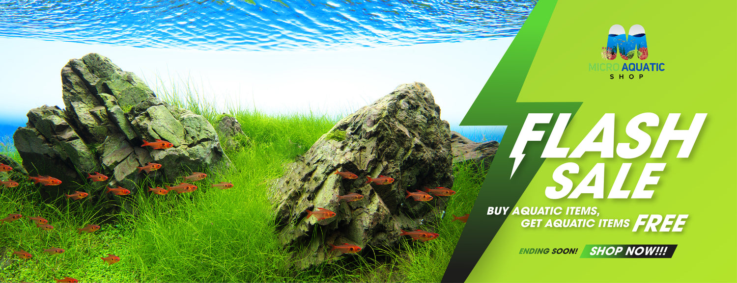 Aquarium Supplies Online Australia | Micro Aquatic Shop