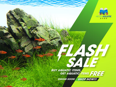 Aquarium Supplies Online Australia | Micro Aquatic Shop