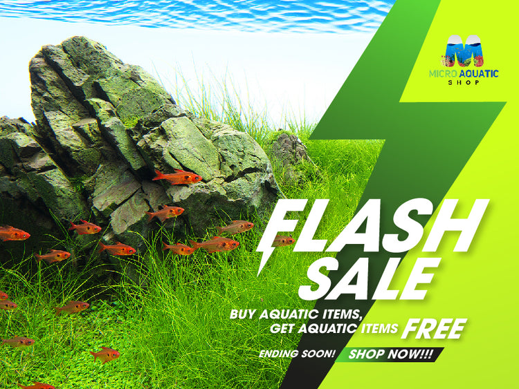Aquarium Supplies Online Australia | Micro Aquatic Shop