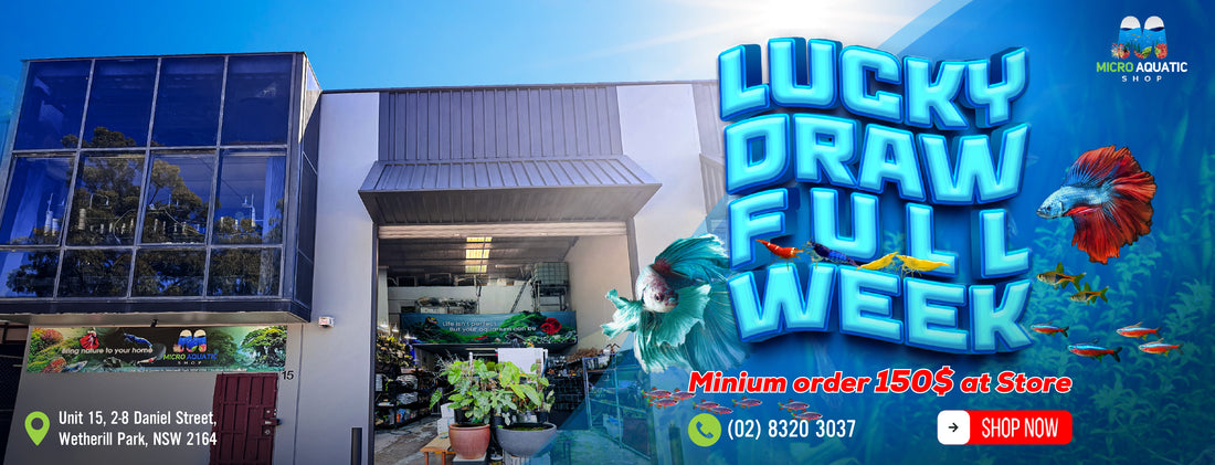 Aquarium Supplies Online Australia | Micro Aquatic Shop