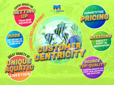 Aquarium Supplies Online Australia | Micro Aquatic Shop