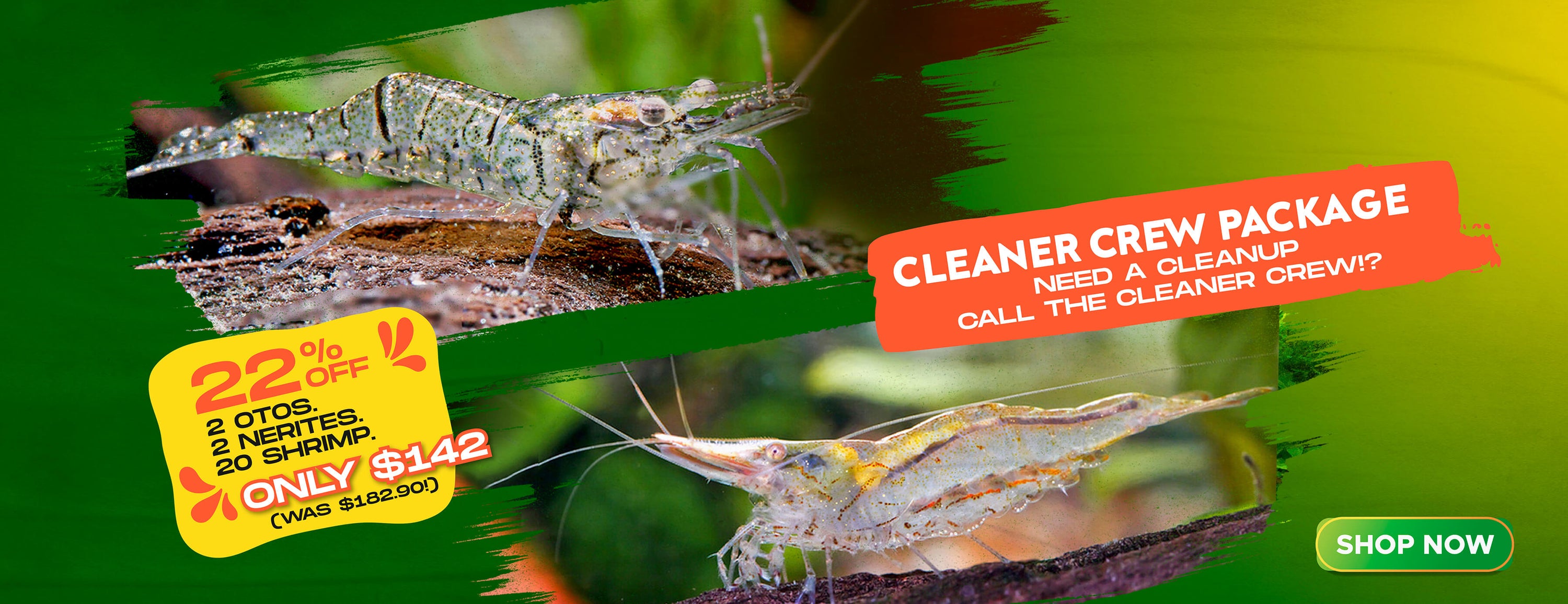 Aquarium Supplies Online Australia | Micro Aquatic Shop