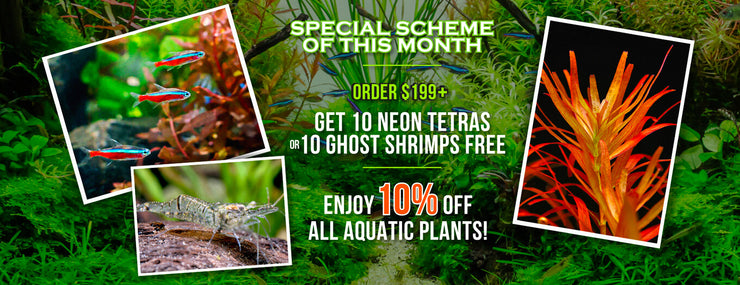 Aquarium Supplies Online Australia | Micro Aquatic Shop