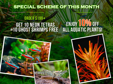 Aquarium Supplies Online Australia | Micro Aquatic Shop