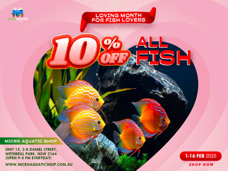 Aquarium Supplies Online Australia | Micro Aquatic Shop