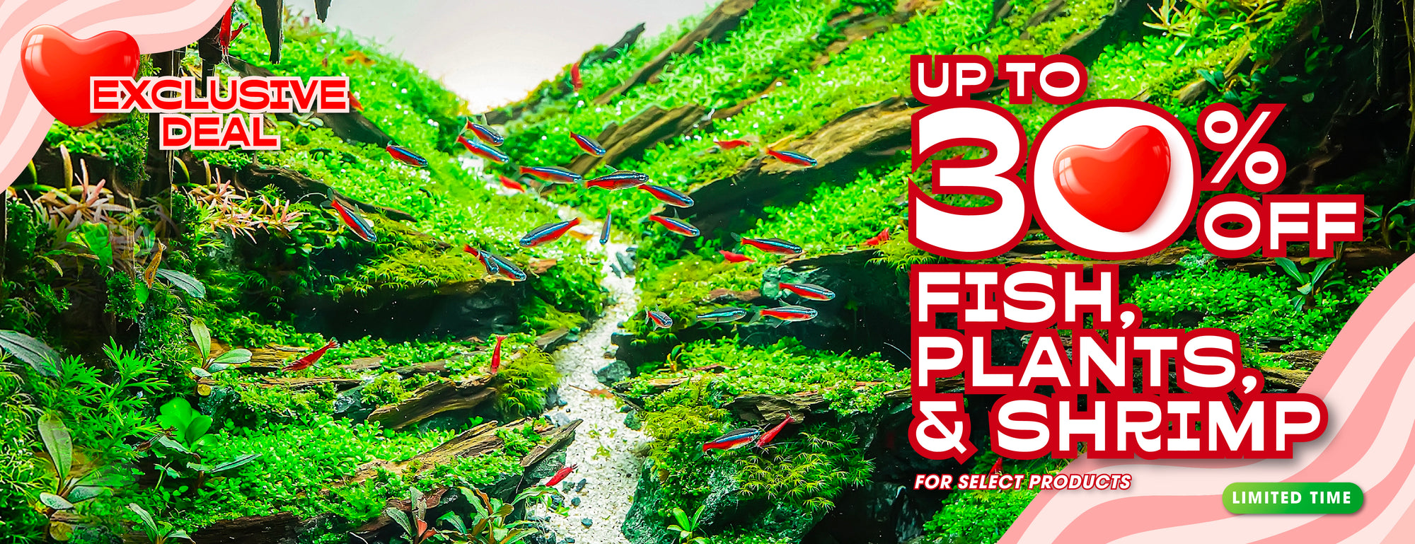 Aquarium Supplies Online Australia | Micro Aquatic Shop