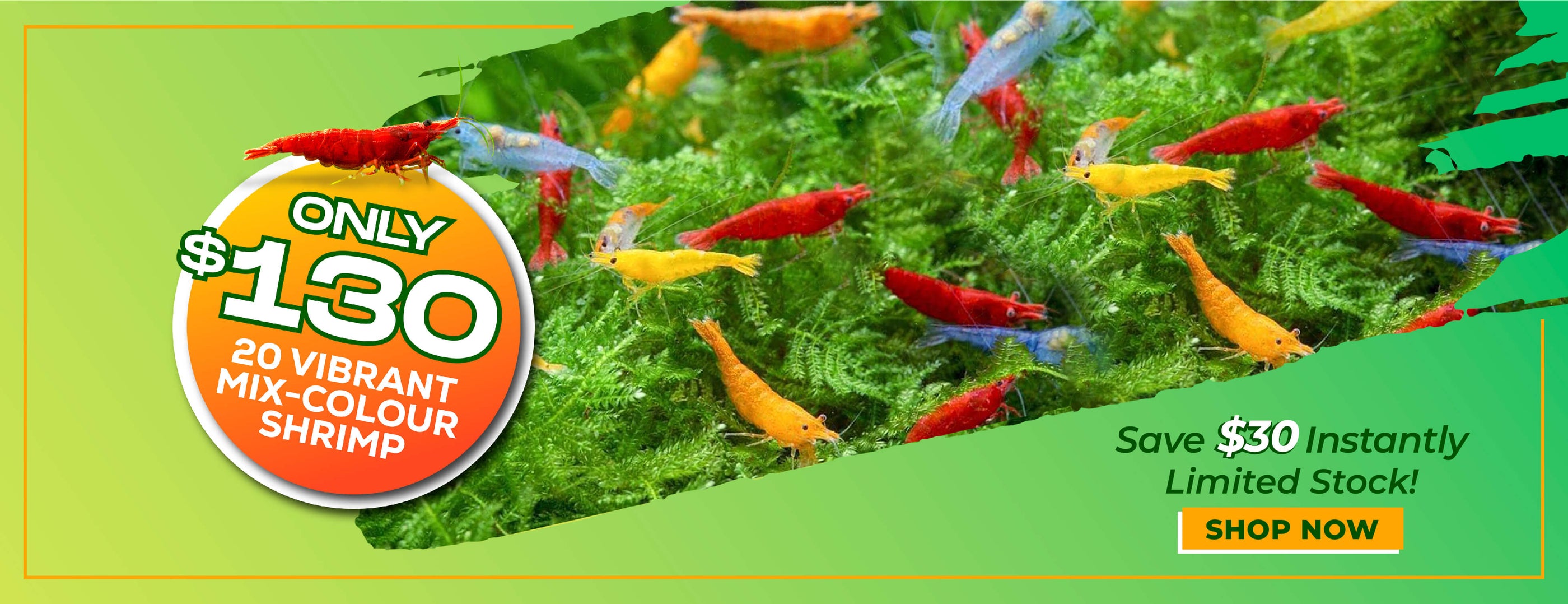 Aquarium Supplies Online Australia | Micro Aquatic Shop