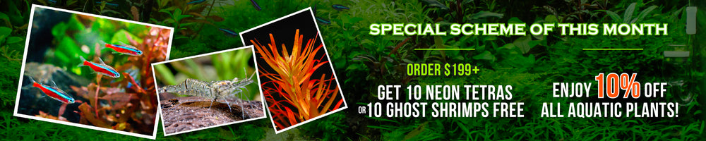 Aquarium Equipment & Tools - Shop Online & In-Store Australia | Micro ...