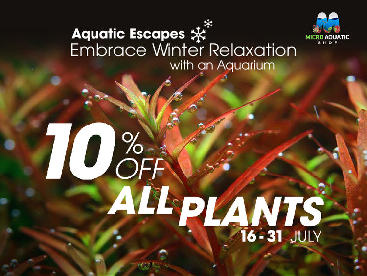 Aquarium Supplies Online Australia | Micro Aquatic Shop