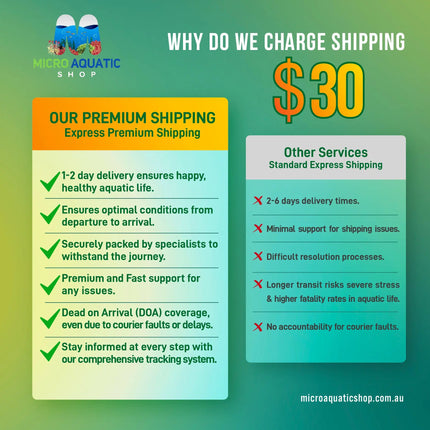 How to Create a Beautiful Aquascape - An Easy Guide – Micro Aquatic Shop